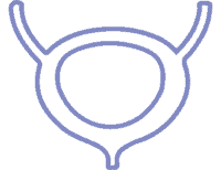 Women First Care - Women First of Louisville